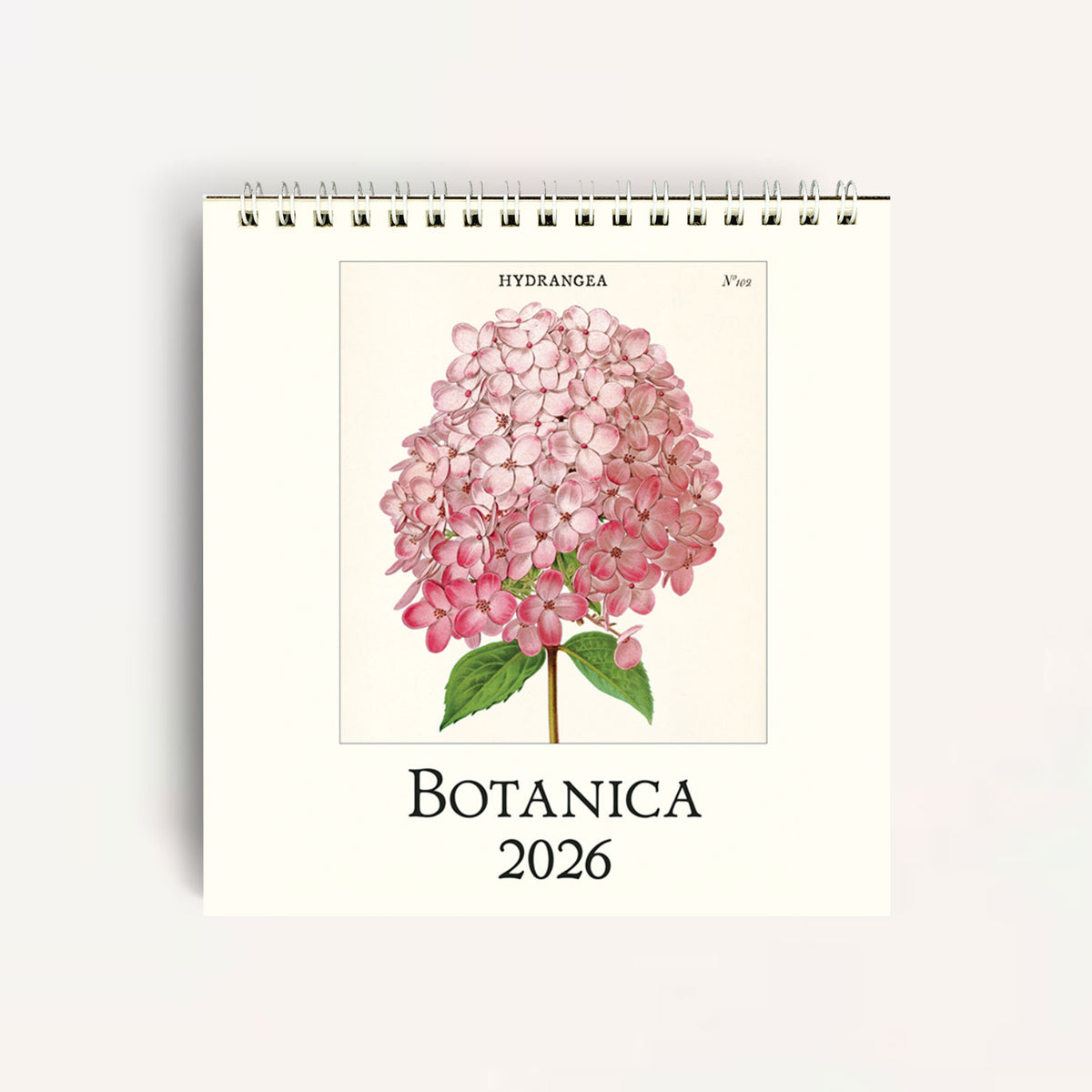 Cavallini 2026 DESK Calendar - Botanica – Jenni Bick Custom Journals