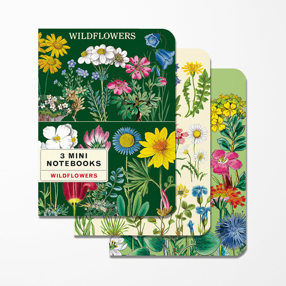Cavallini Mini Vintage Notebooks Set of 3 - Wildflowers – Jenni Bick Custom Journals