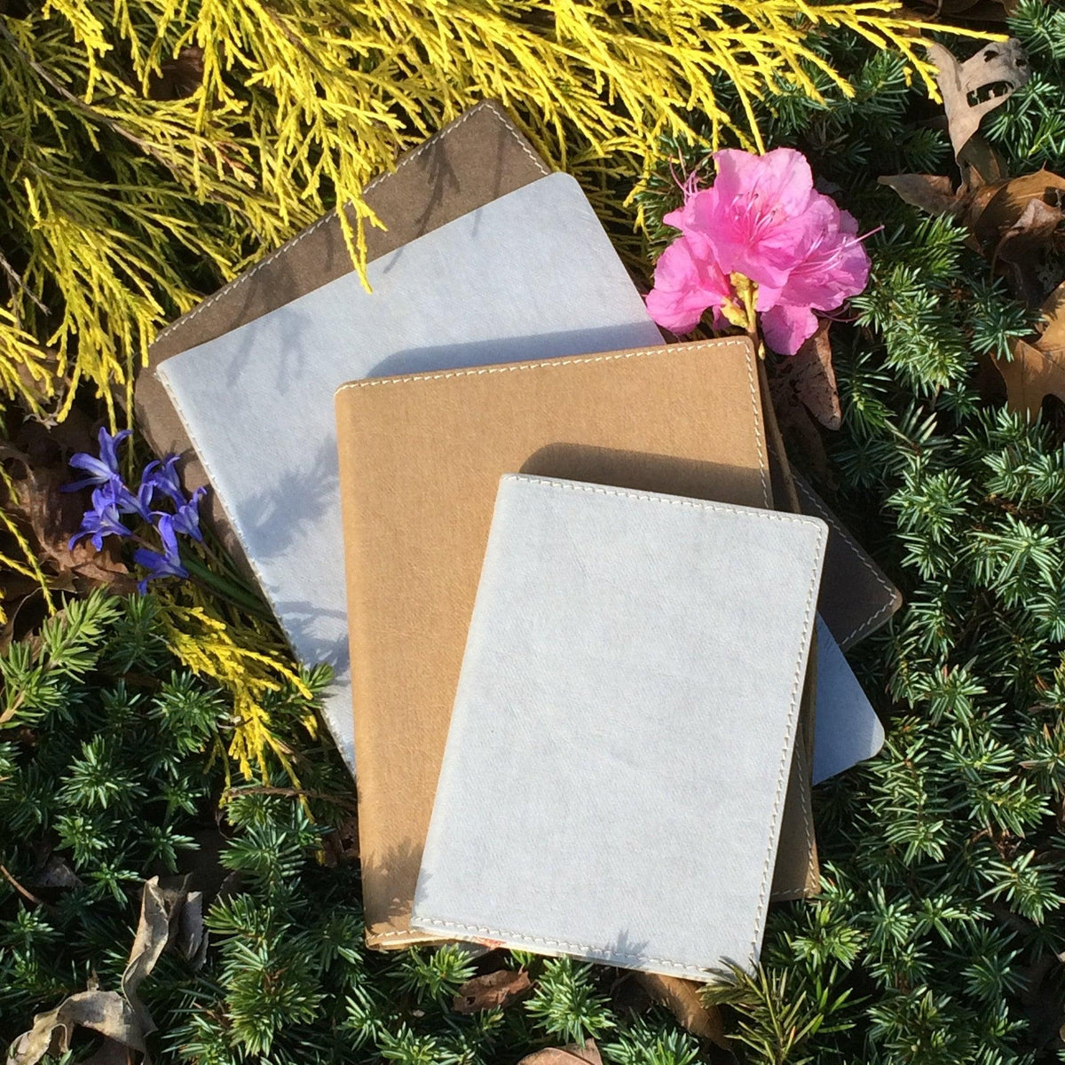Happy Earth Day! Check Out Our Favorite Eco-Friendly Journals. – Jenni ...
