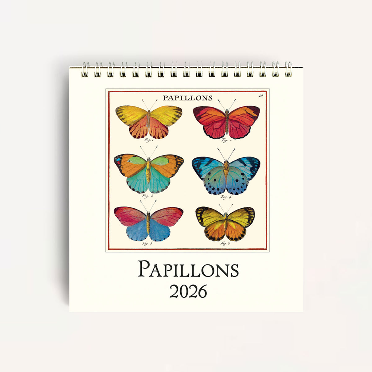 Cavallini 2026 DESK Calendar - Papillons – Jenni Bick Custom Journals