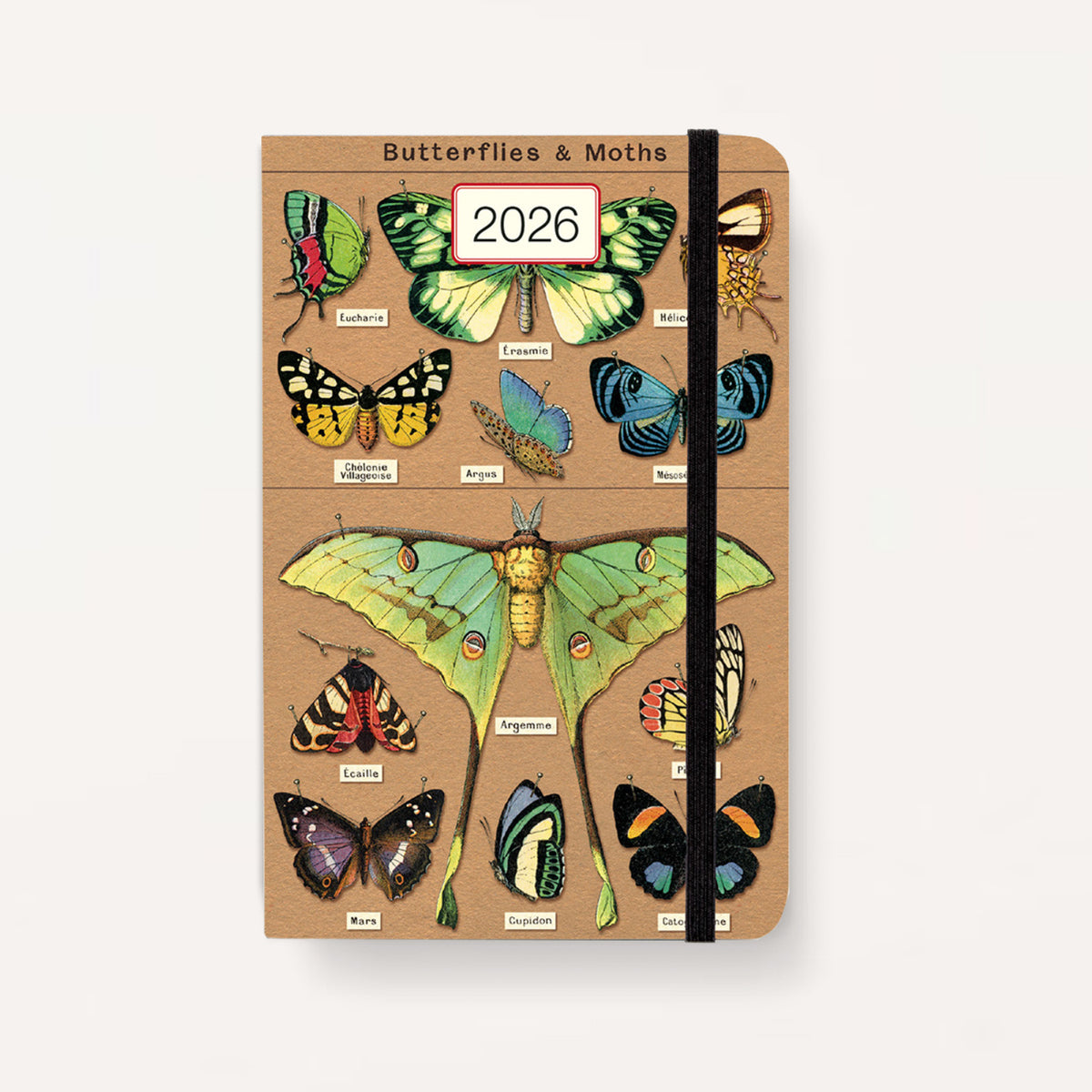 Cavallini 2026 WEEKLY PLANNER - Entomology – Jenni Bick Custom Journals