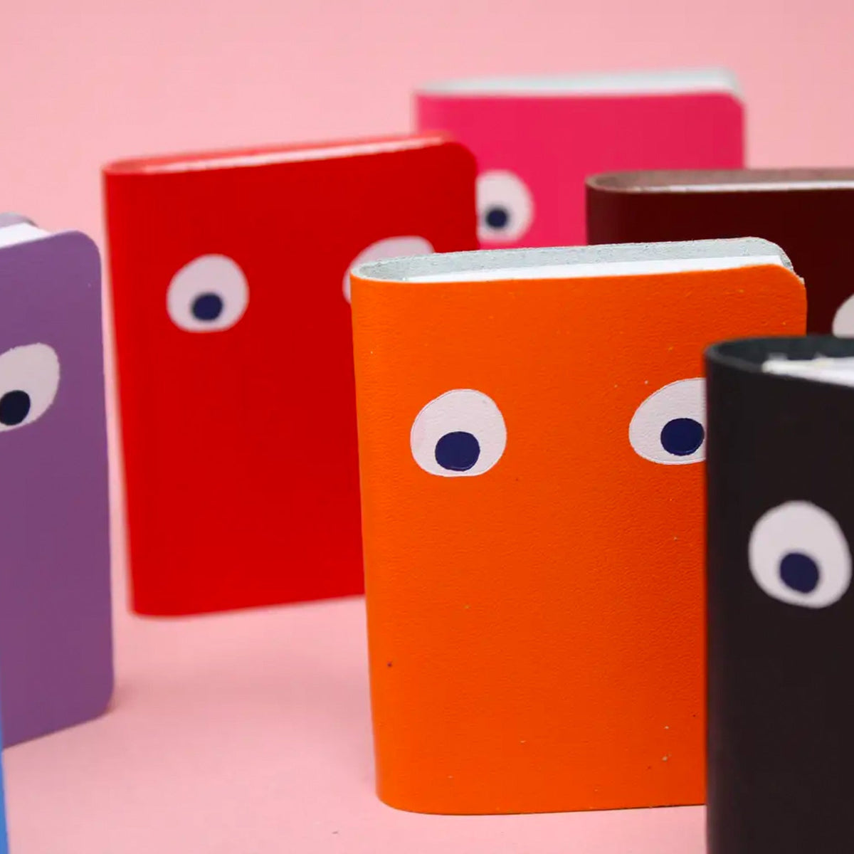 Googly Eyes Mini Notebook – Jenni Bick Custom Journals