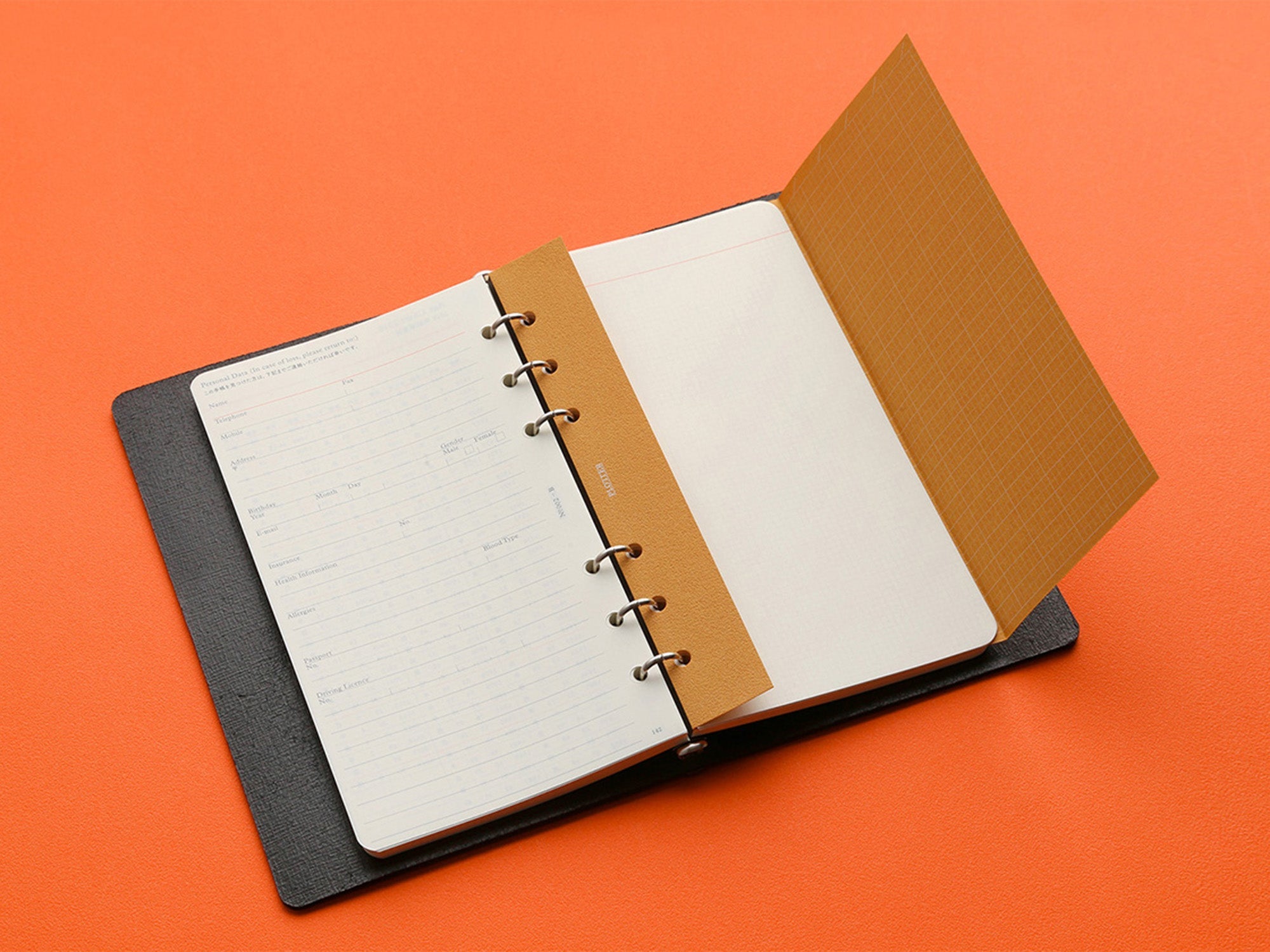 PLOTTER Project Manager 6 Colors Assortment - Bible Size – Jenni Bick ...