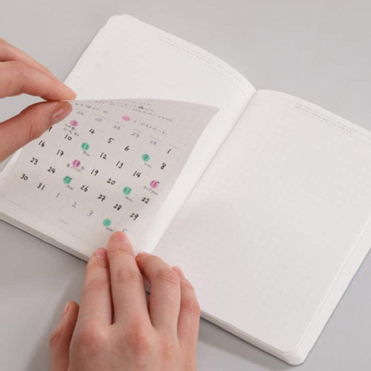 Stalogy Undated Calendar Stickers - Monthly – Jenni Bick Custom Journals